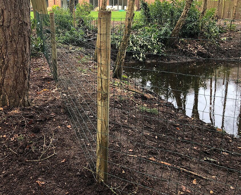 Dog-Proof Fencing Cheshire | Secure Pet Fencing Solutions